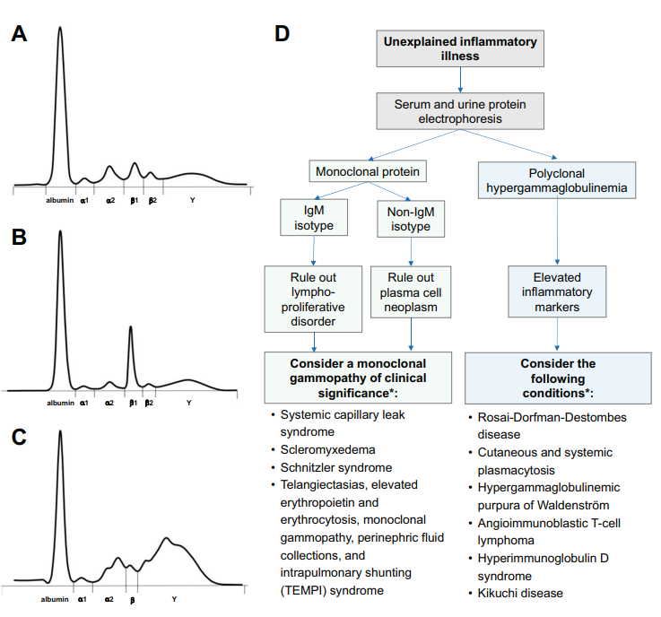 Polyclonal Gammopathy_POSTCRIPT • The Blood Project