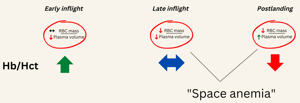 Postscript • The Blood Project