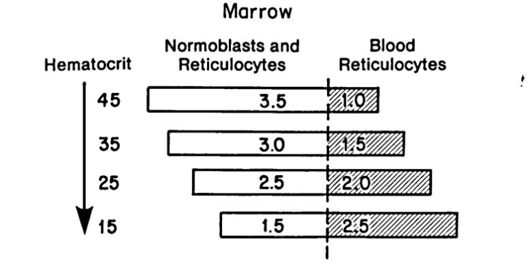 Postscript • The Blood Project
