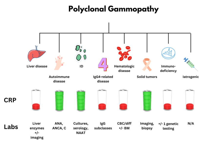Postscript • The Blood Project