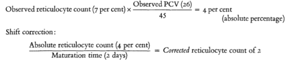 Postscript • The Blood Project