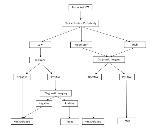 Postscript • The Blood Project