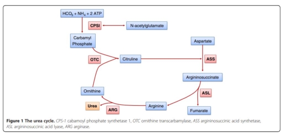 Postscript • The Blood Project