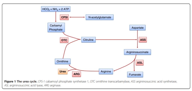 Postscript • The Blood Project