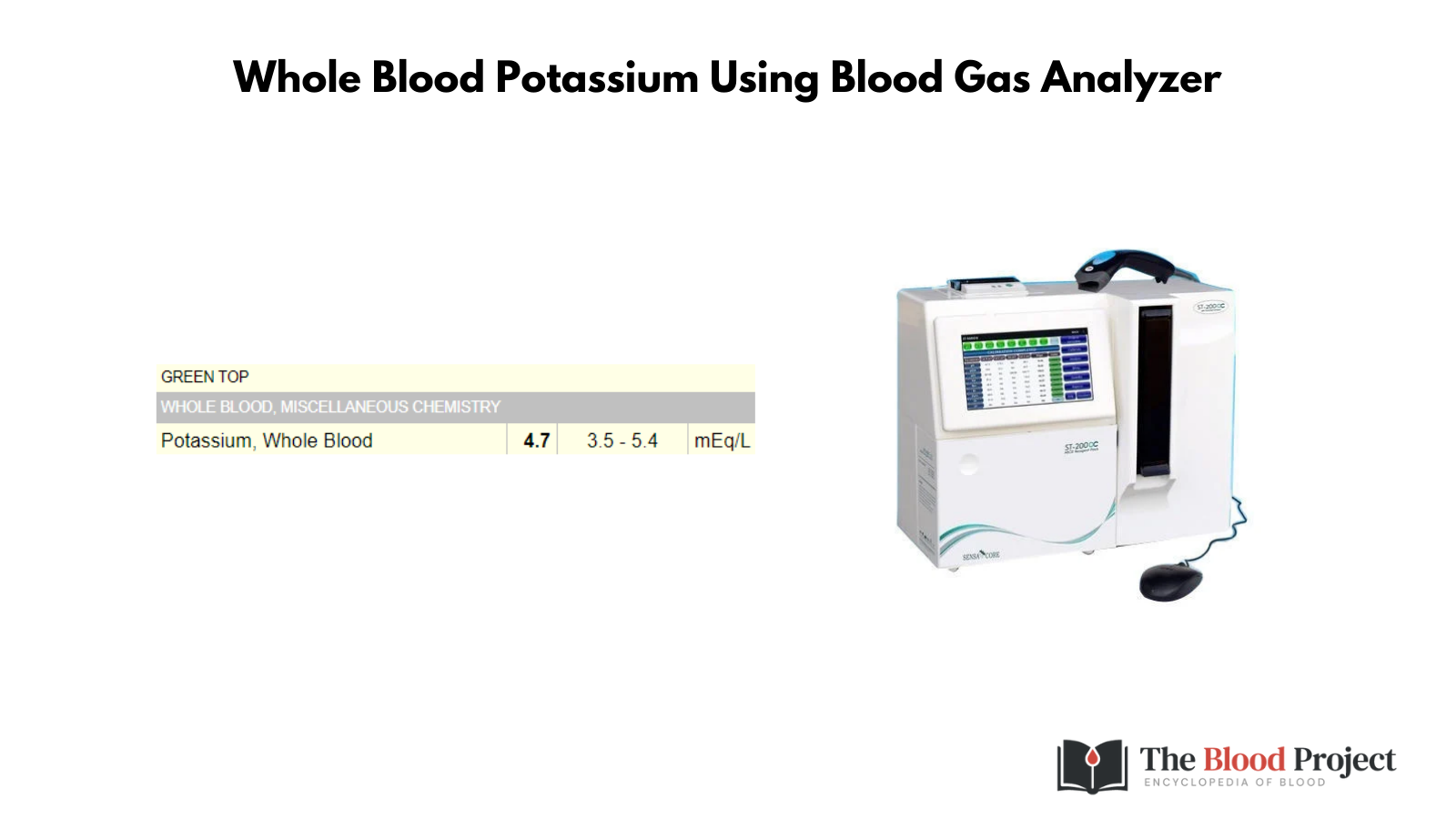 Graphics • The Blood Project