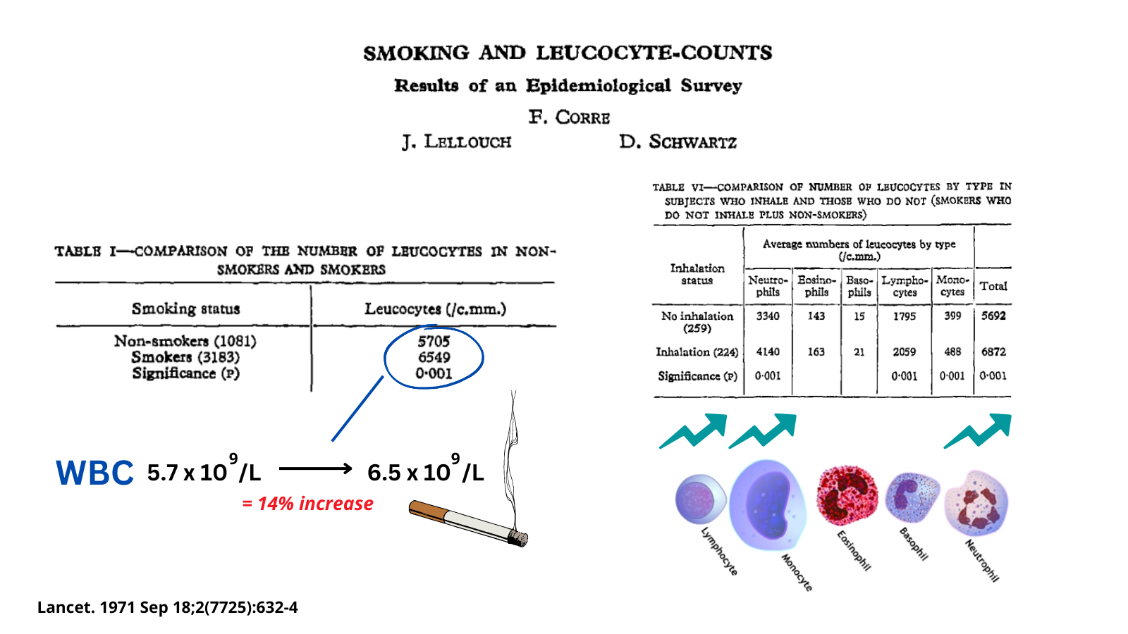 Postscript • The Blood Project