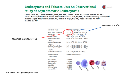 Postscript • The Blood Project