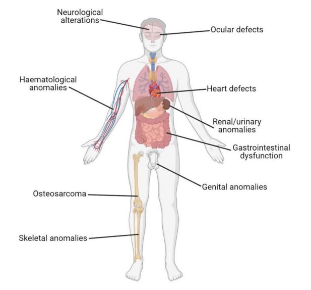 Postscript • The Blood Project