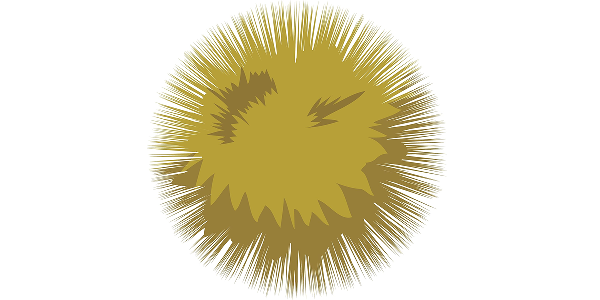 Spur vs. Burr Cell • The Blood Project