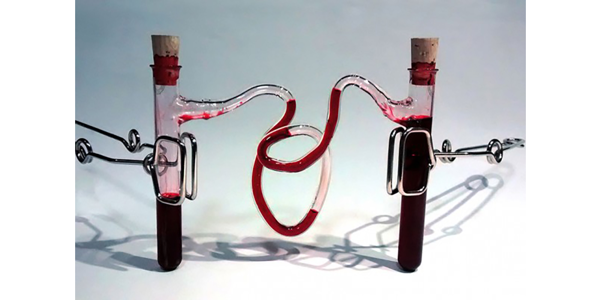 Glass-Sculpted Blood Vessels and Other Art-Science Experiments • The ...