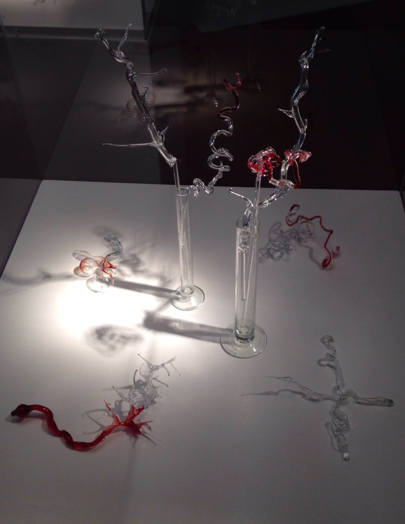 Various Blood Vessels • The Blood Project