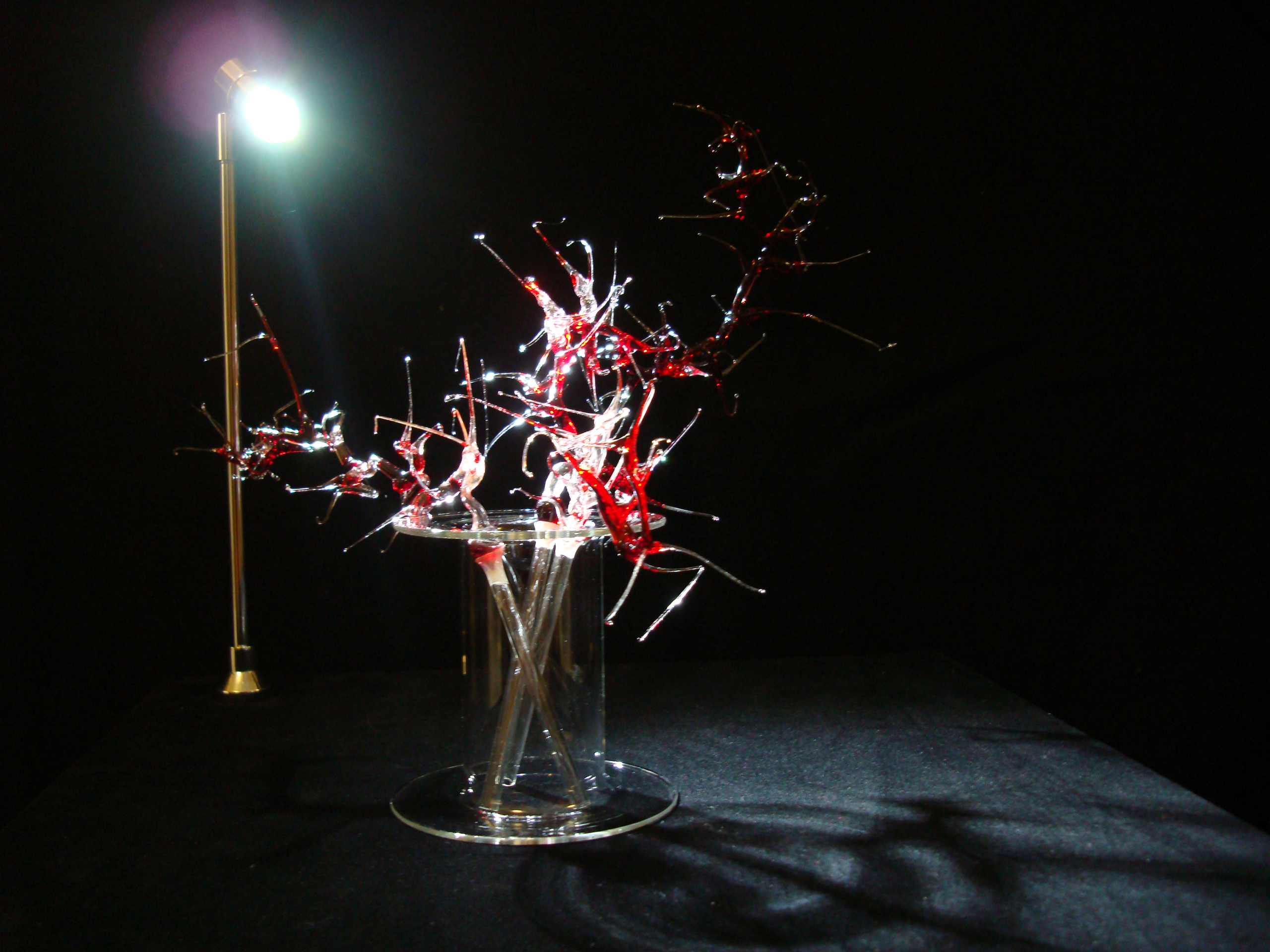 Cerebral Arteries • The Blood Project