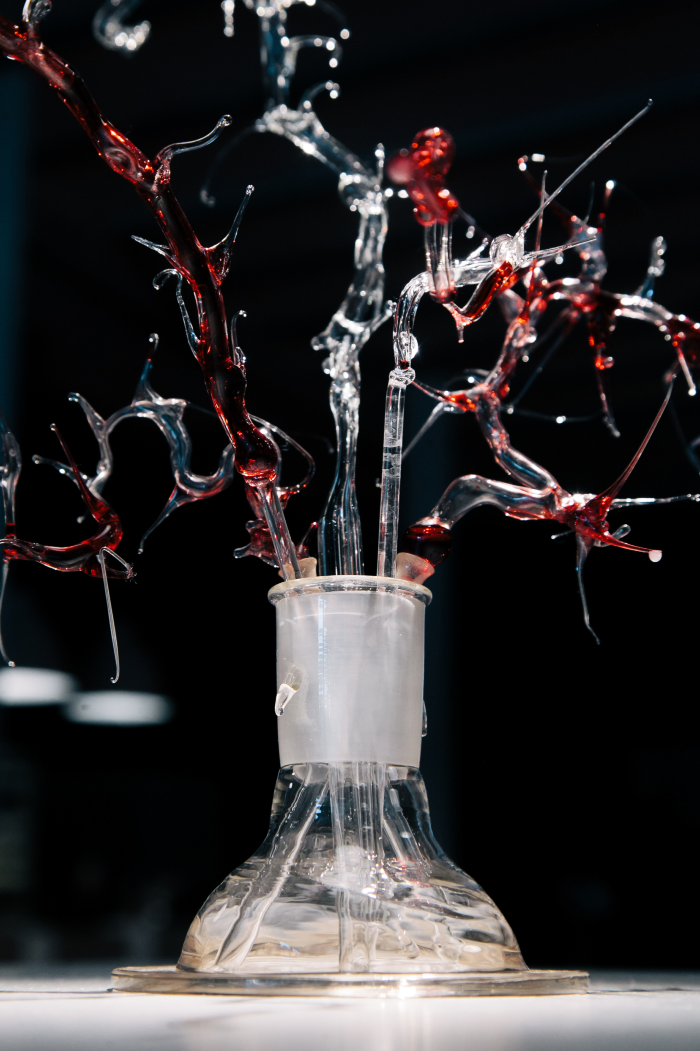 Cerebral Arteries • The Blood Project