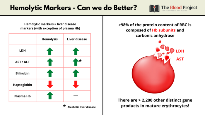 Hemolytic Markers • The Blood Project