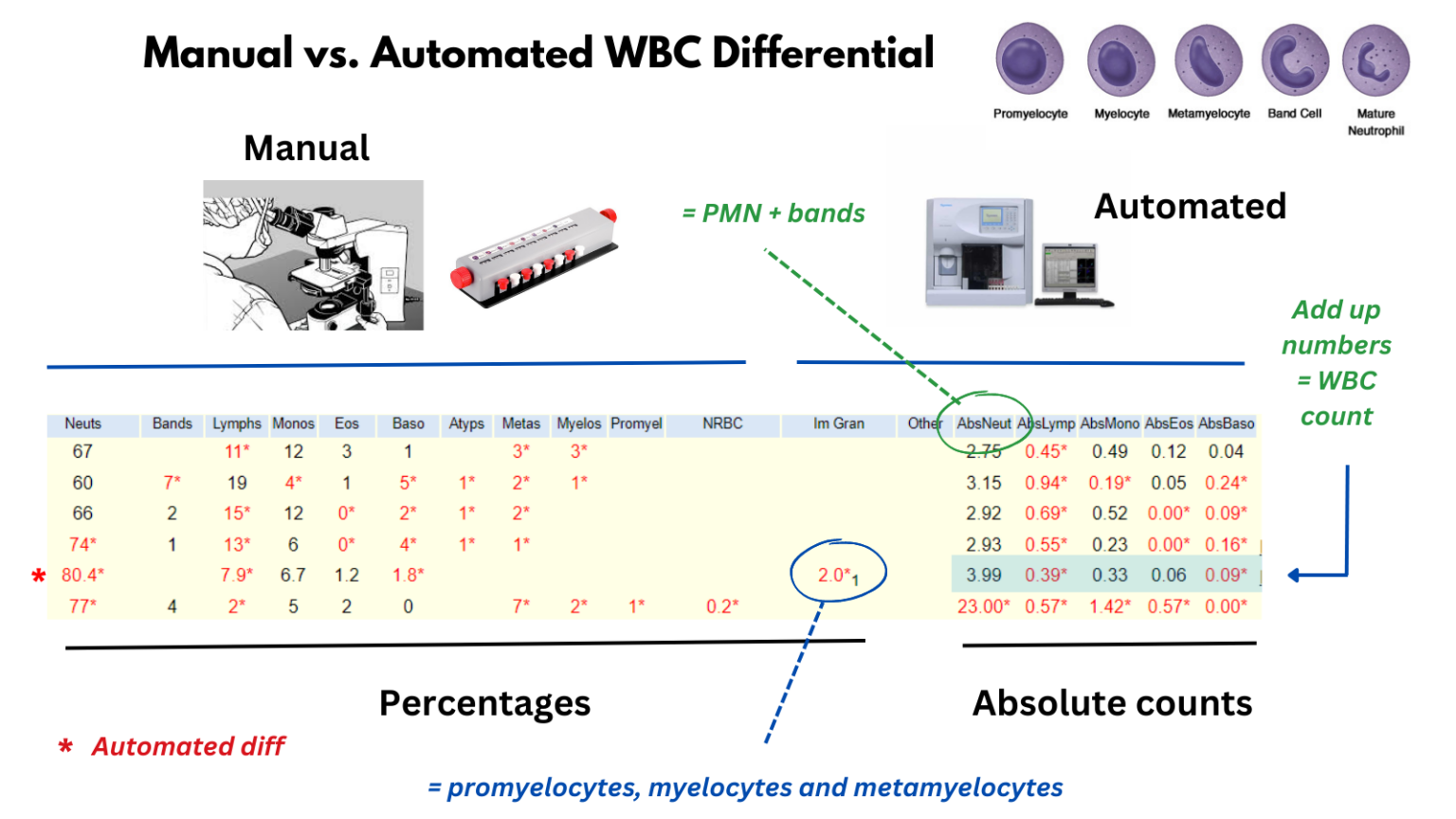 Manual vs. Automated WBC Differential • The Blood Project