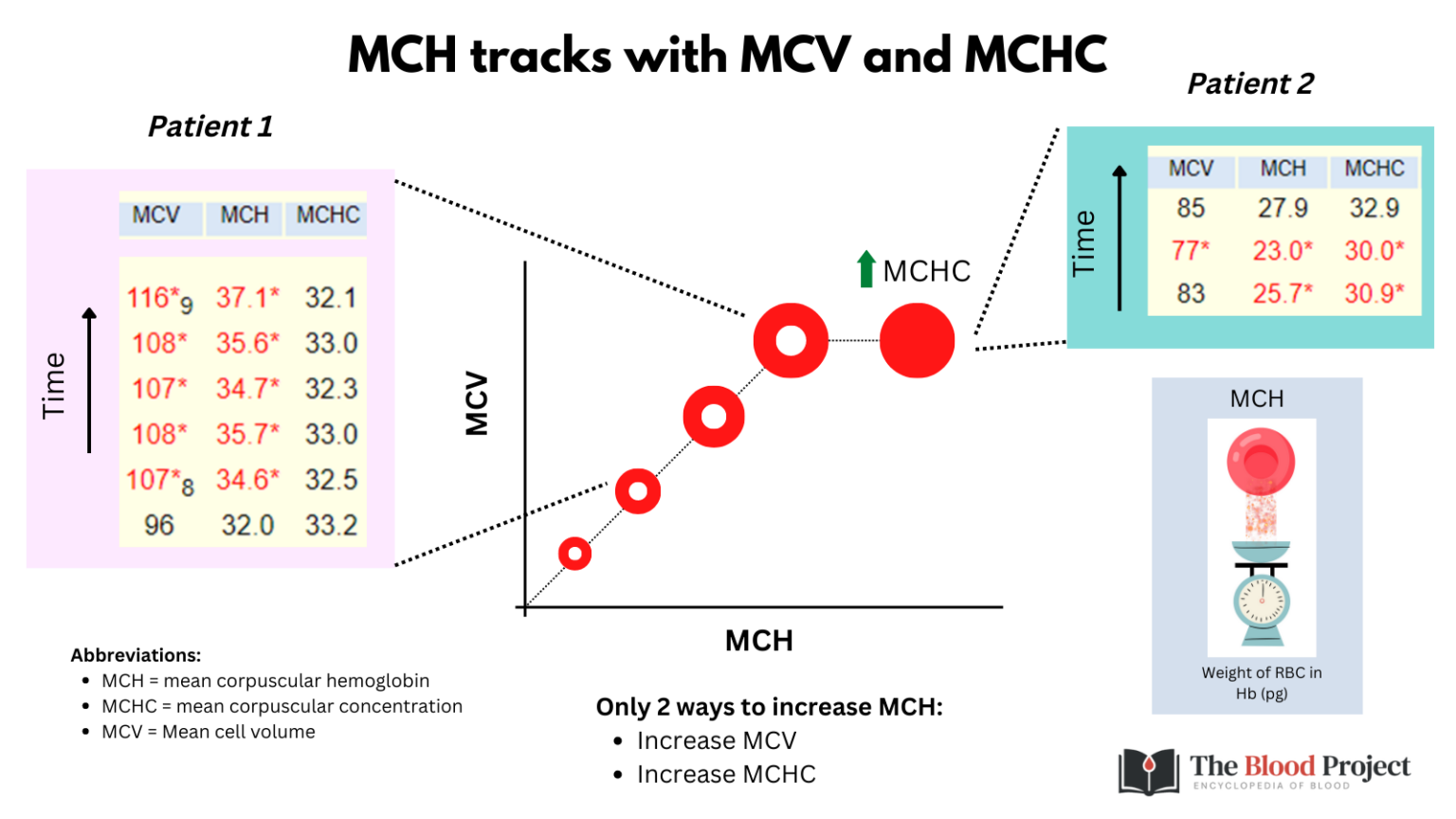Mean Corpuscular Hemoglobin (MCH) • The Blood Project
