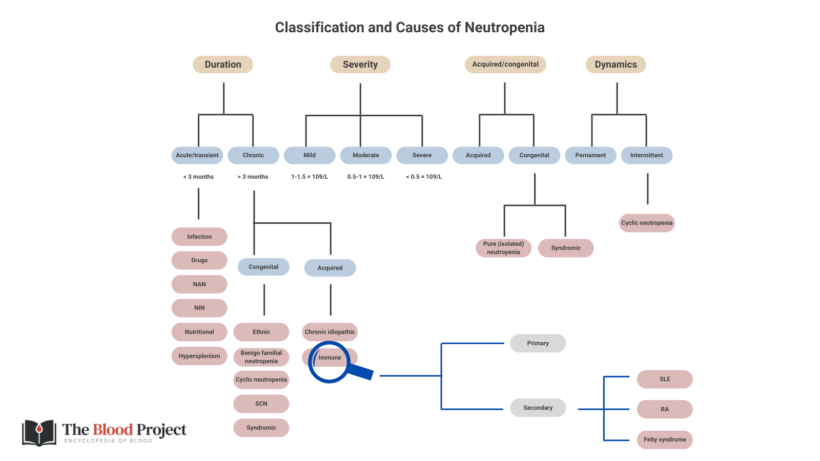 Neutropenia Classification • The Blood Project