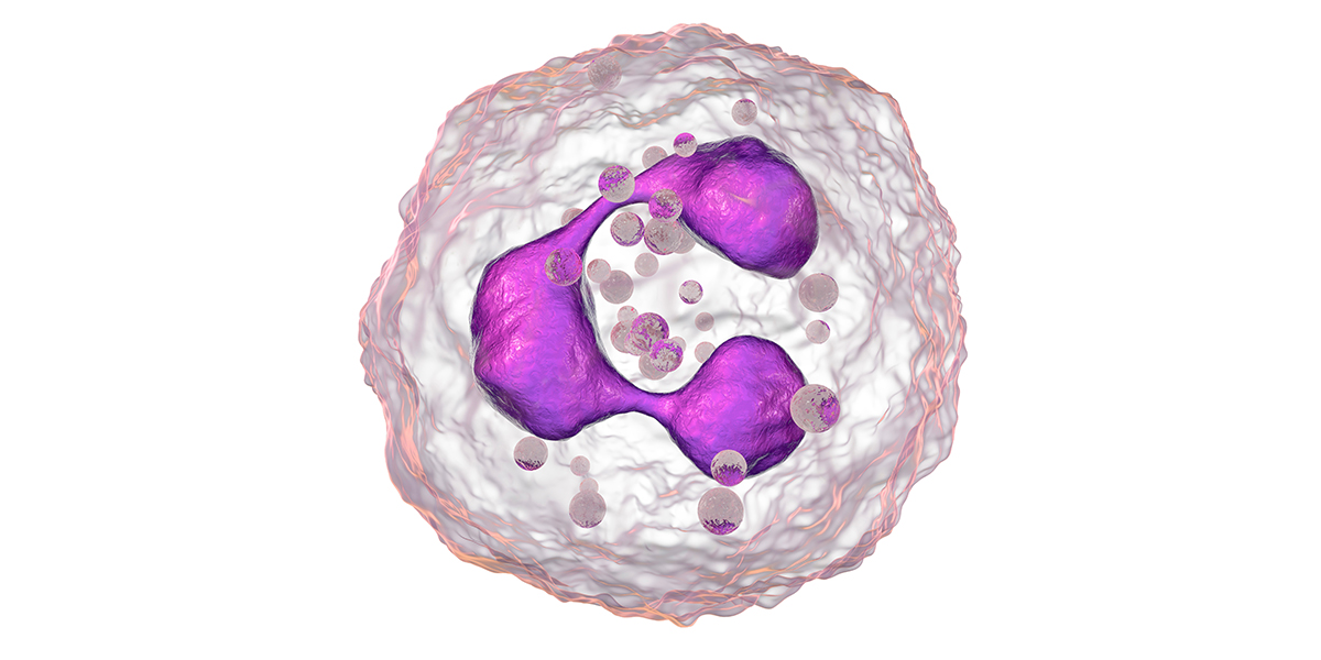 Neutropenia Classification • The Blood Project