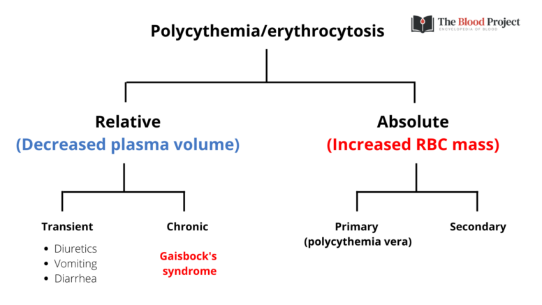 Polycythemia • The Blood Project