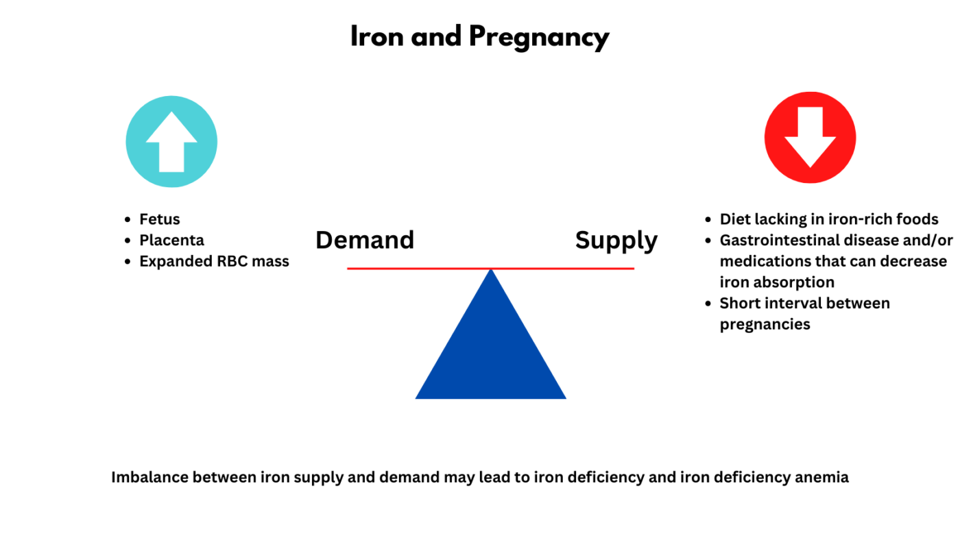 Iron and Pregnancy • The Blood Project