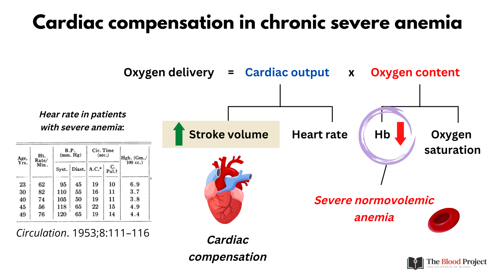 Severe Anemia - Cardiac Compensation • The Blood Project