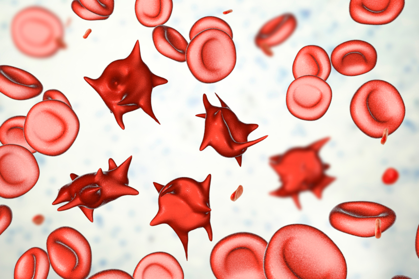 Knowledge Check • The Blood Project