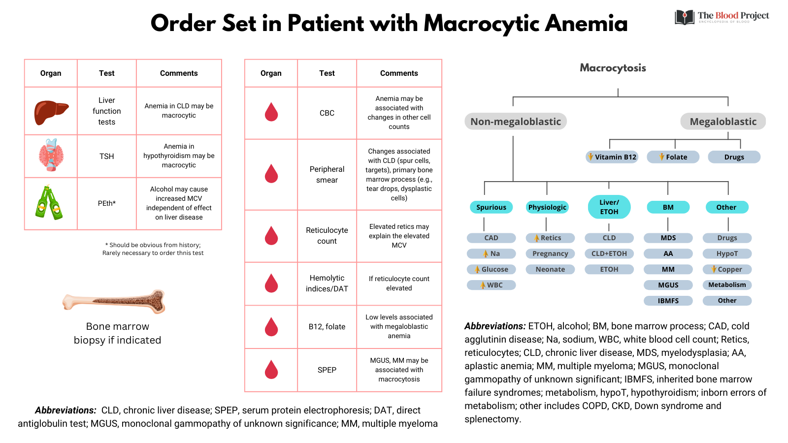 Order Set in Macrocytic Anemia • The Blood Project