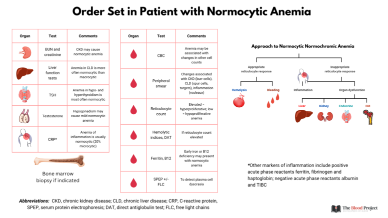Order Set in Normocytic Anemia • The Blood Project