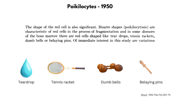 Poikilocytes in History • The Blood Project