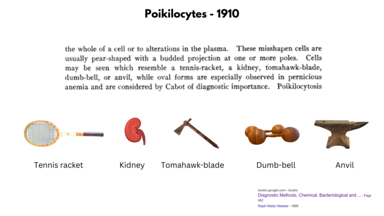 Poikilocytes in History • The Blood Project