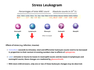 Stress Leukogram • The Blood Project