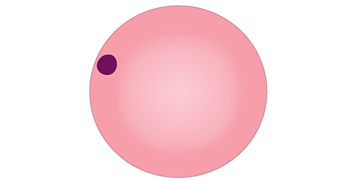 Red Blood Cell Inclusions • The Blood Project