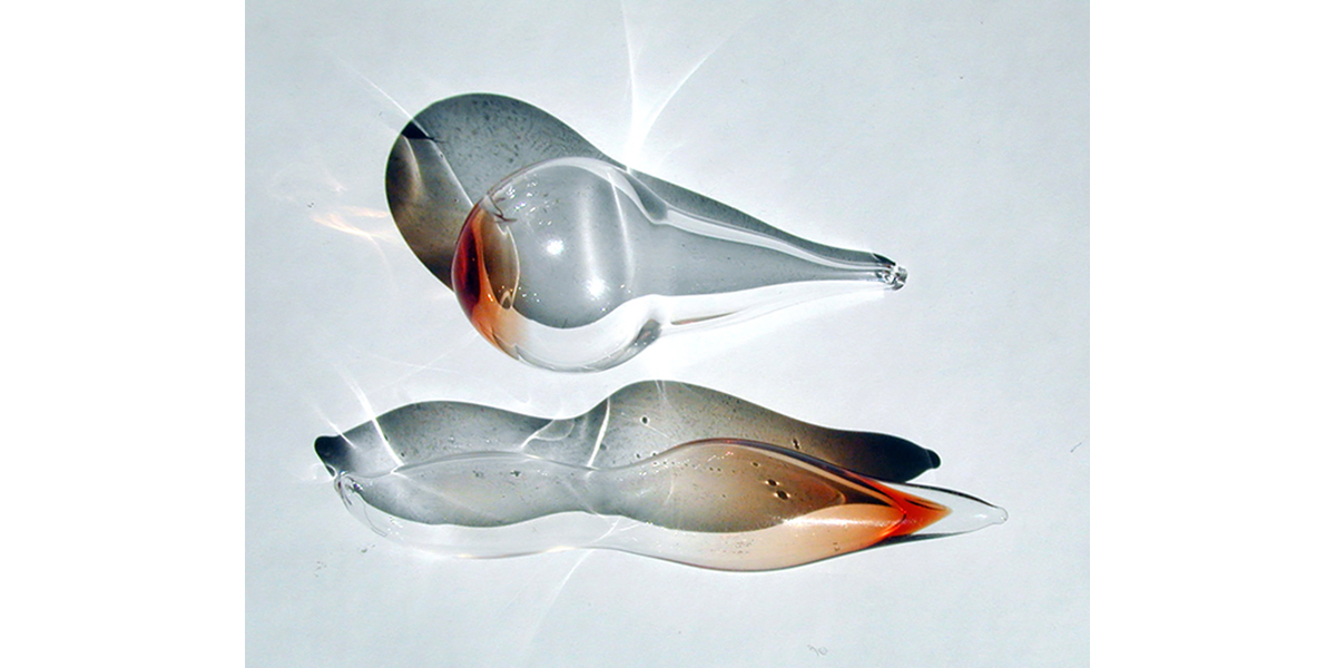 Blood Vessels • The Blood Project