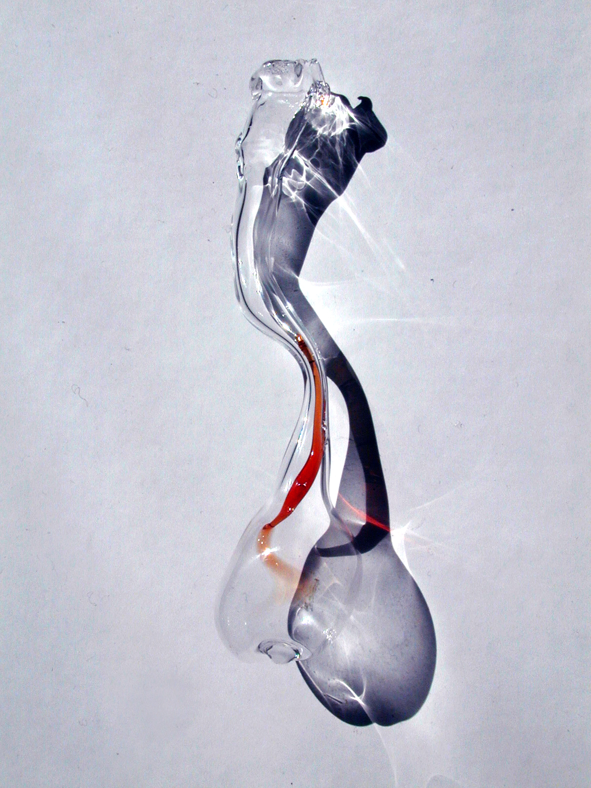 Blood Vessels • The Blood Project