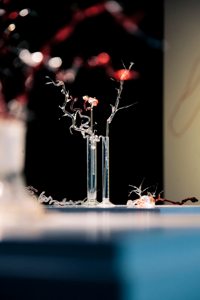 Blood Vessels • The Blood Project