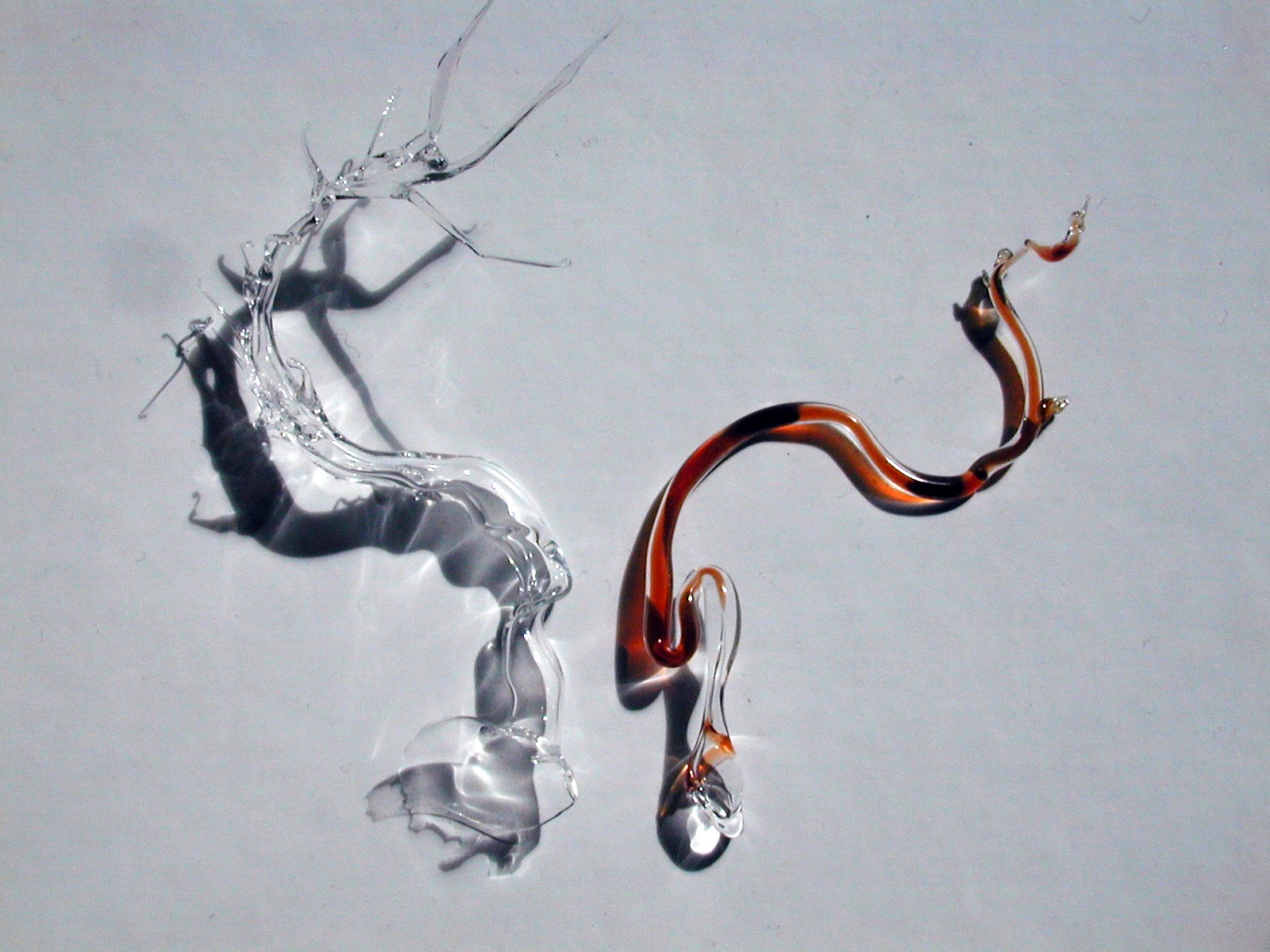 Blood Vessels • The Blood Project