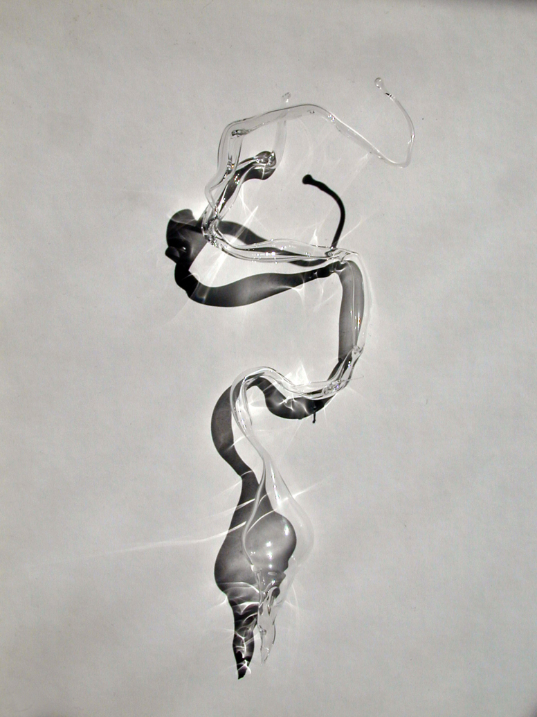 Blood Vessels • The Blood Project