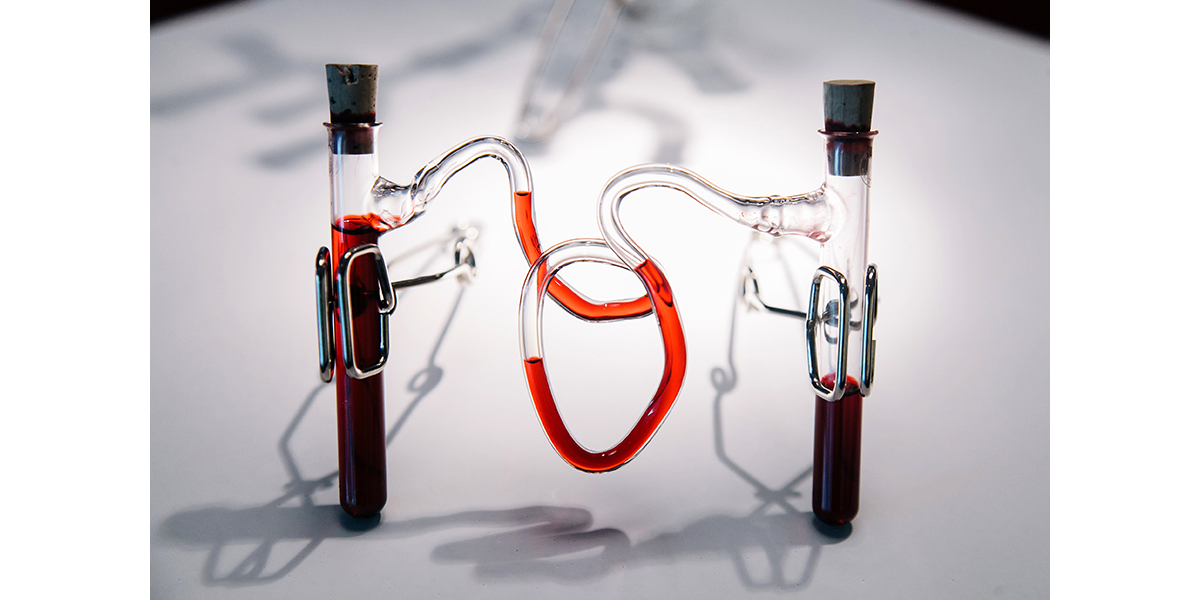 Blood Vessels Glass Sculpture Series • The Blood Project