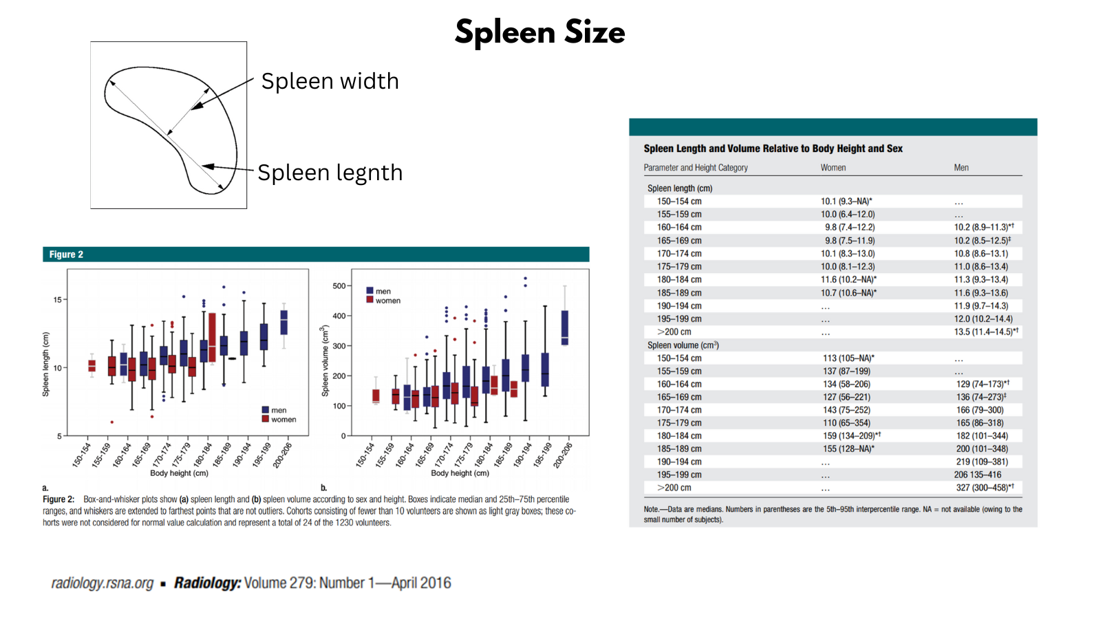 Postscript • The Blood Project