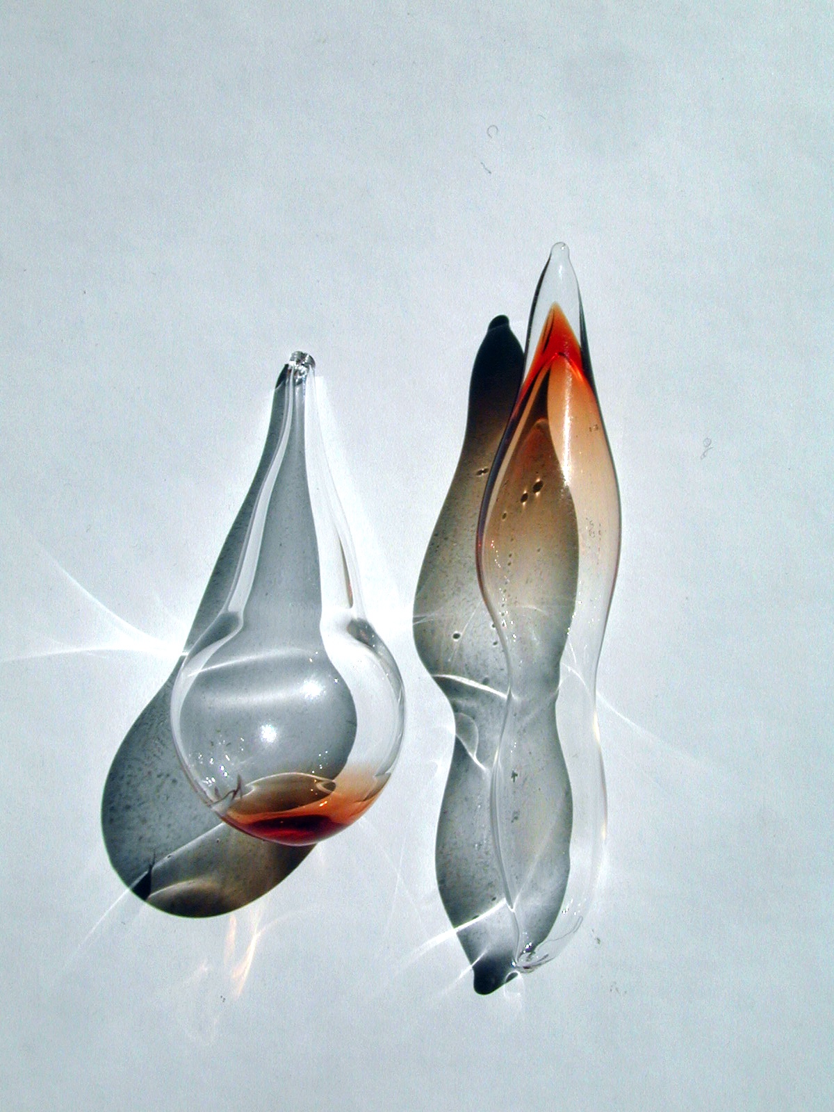 Blood Vessels • The Blood Project