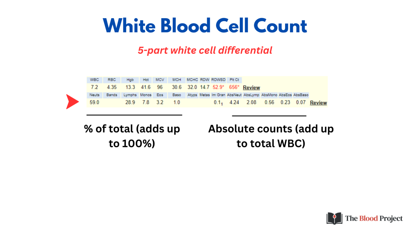 WBC Count • The Blood Project