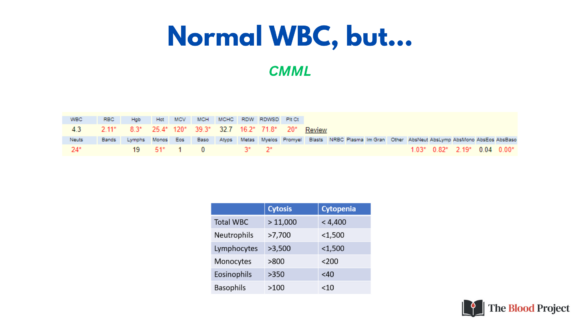 WBC Count • The Blood Project
