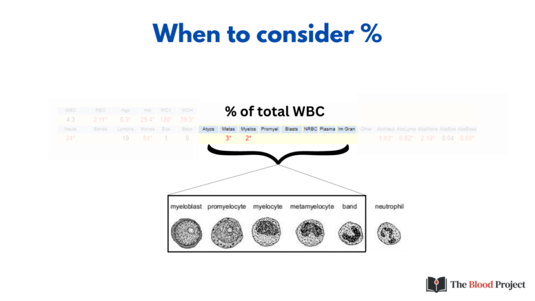 WBC Count • The Blood Project