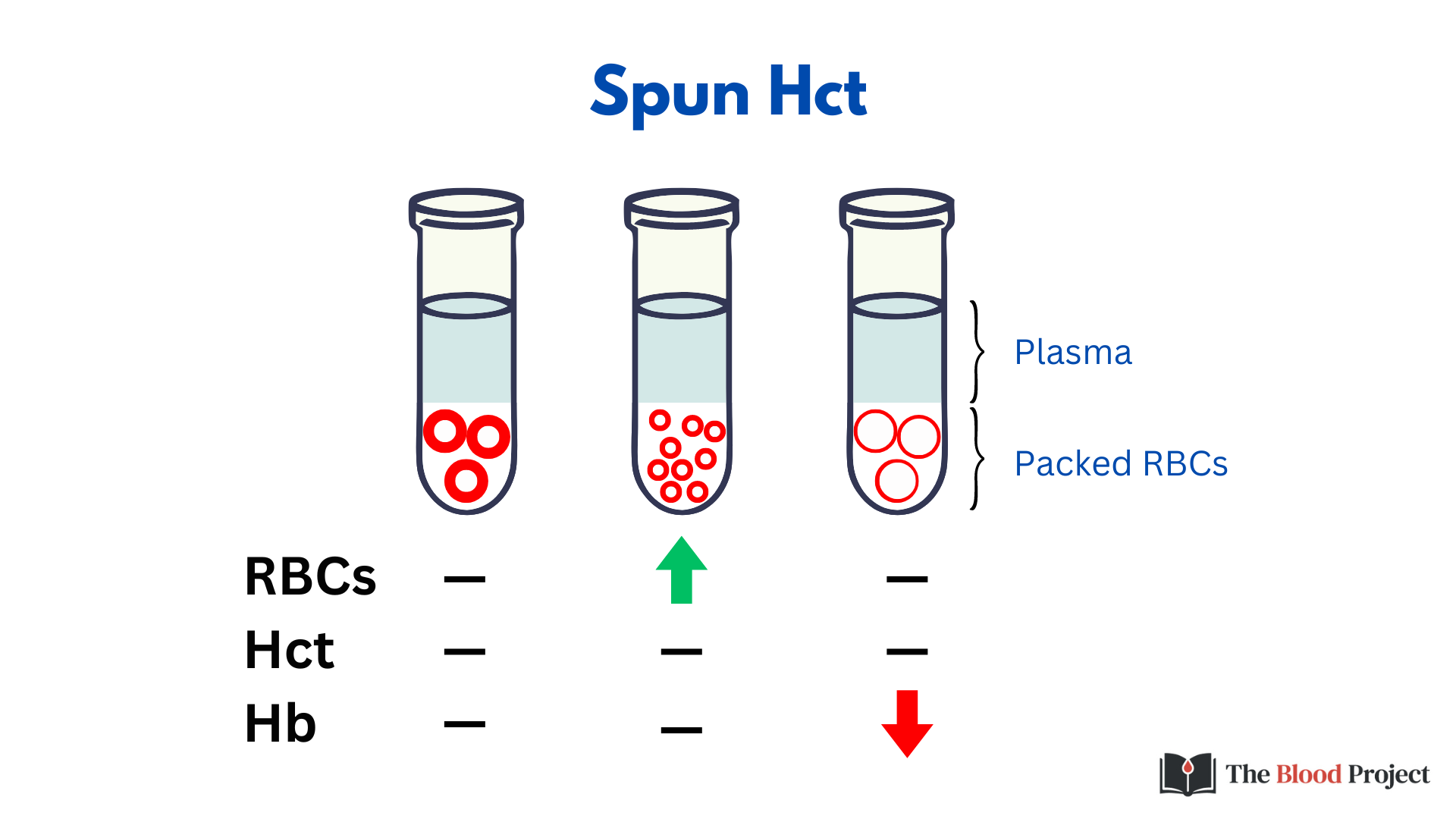 RBC Count • The Blood Project
