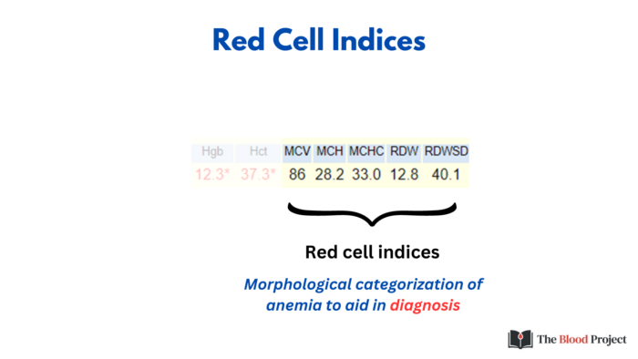 RBC Indices • The Blood Project