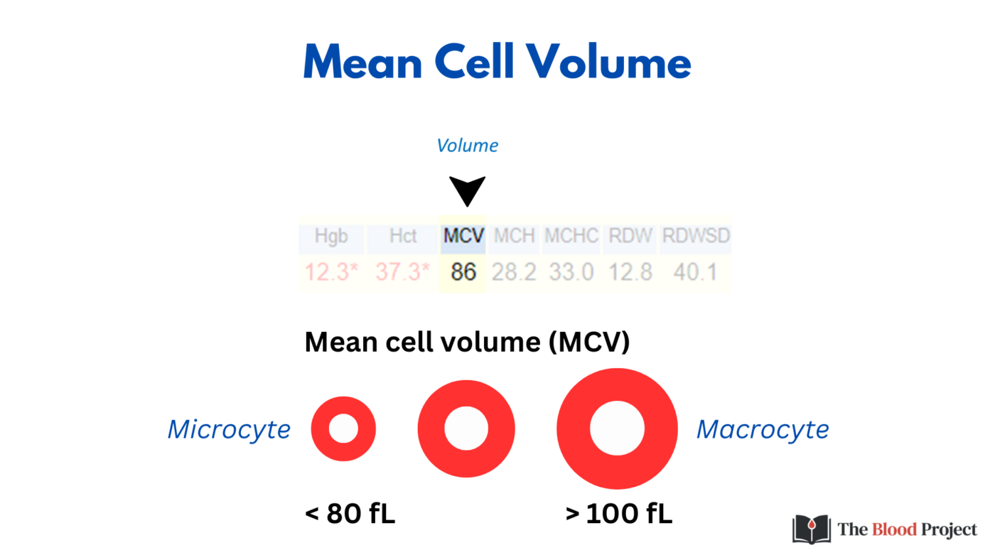 RBC Indices • The Blood Project