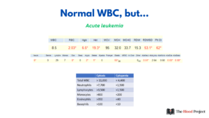 WBC Count • The Blood Project