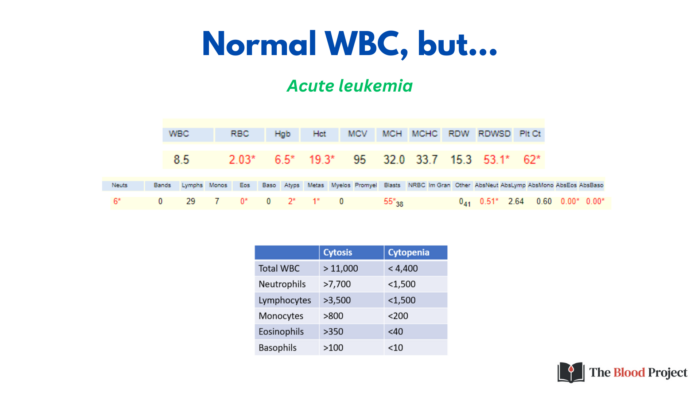 WBC Count • The Blood Project