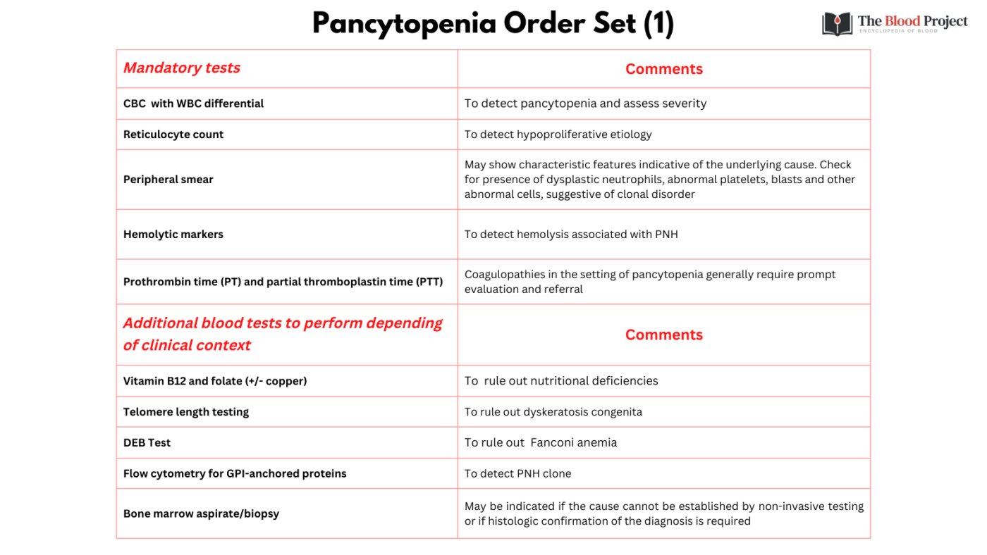 Postscript • The Blood Project