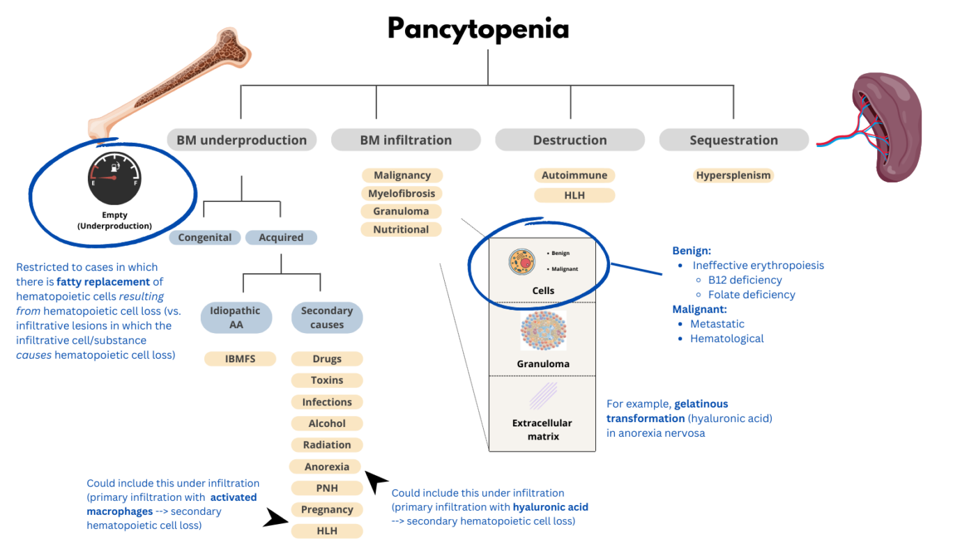 Postscript • The Blood Project